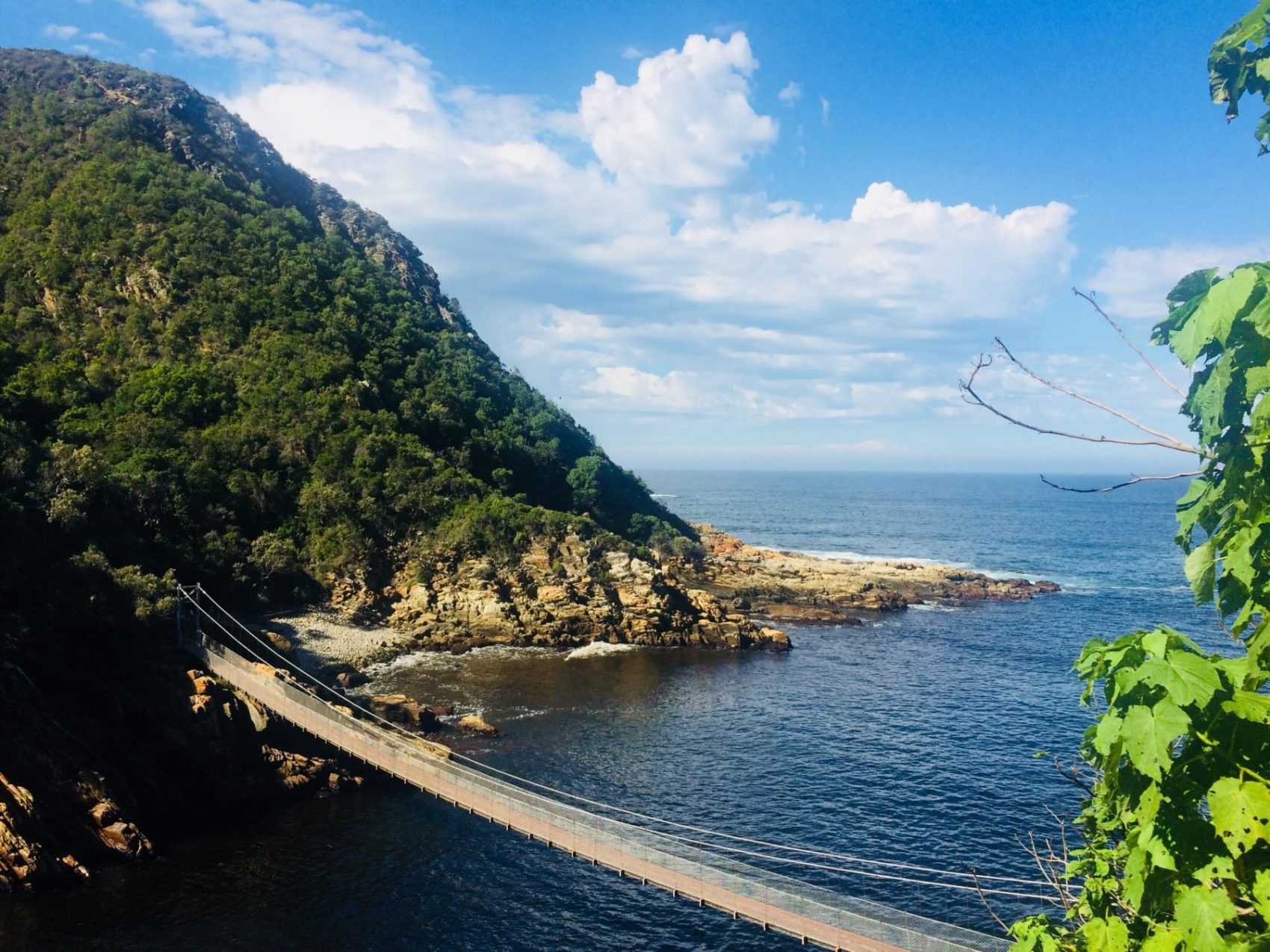 Everything about Addo Elephant Park | South African Travellers